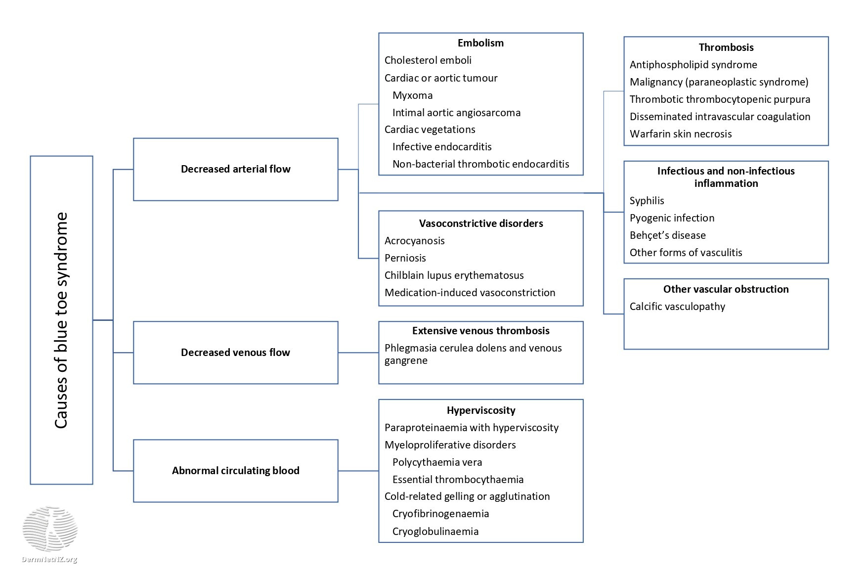 Blue toe syndrome Summary knowledge base