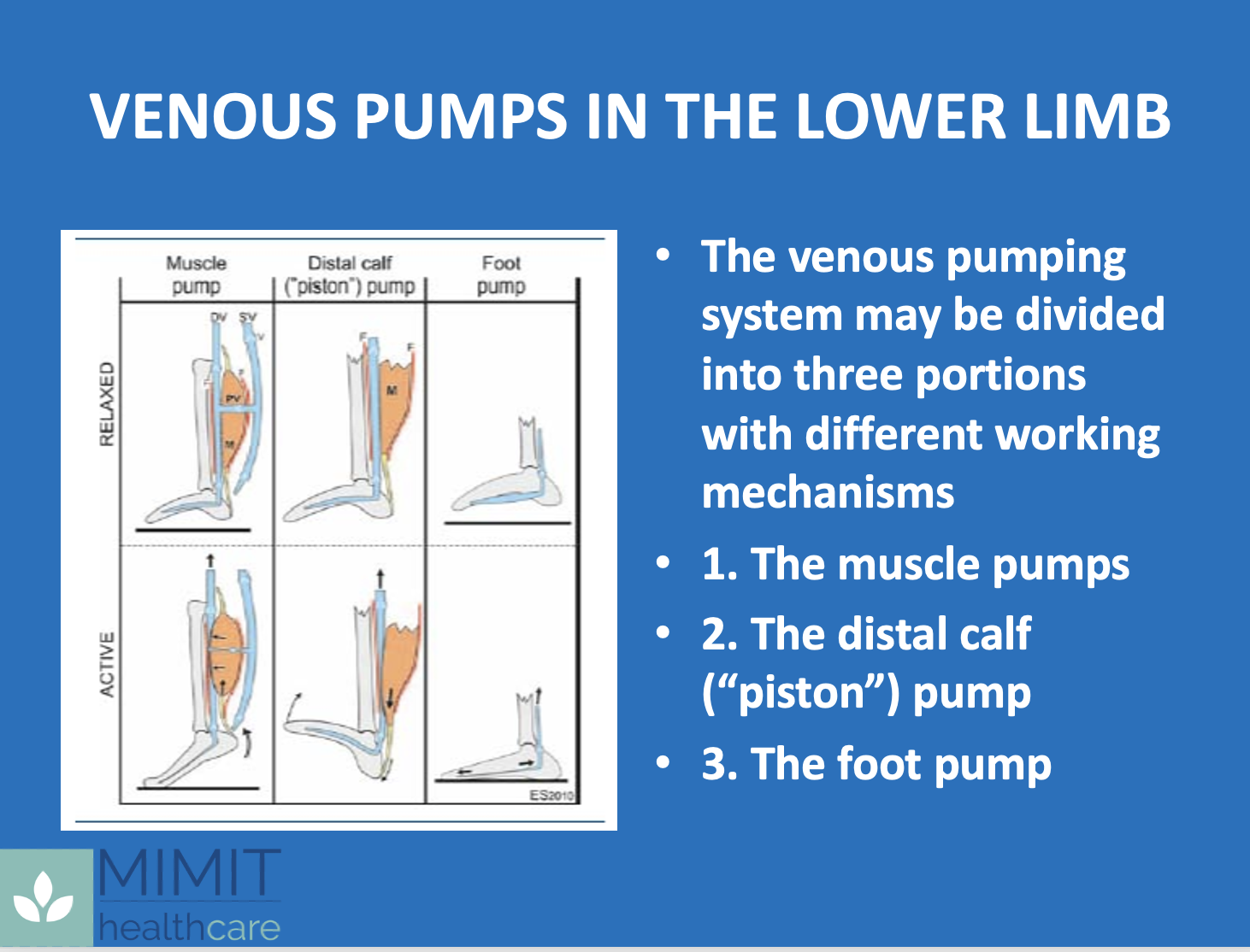 why Walking is good for your legs and veins- Superficial venous Disease ...