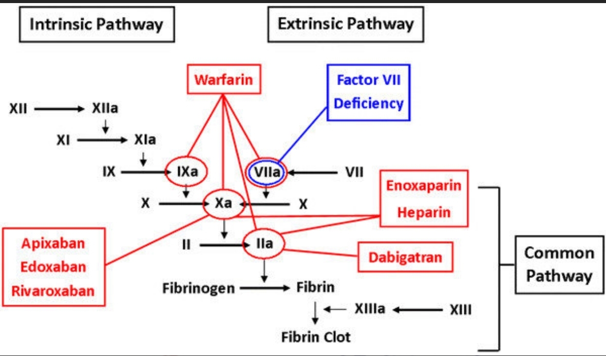 Xarelto for PAD and Heparin. Can they be used together?
