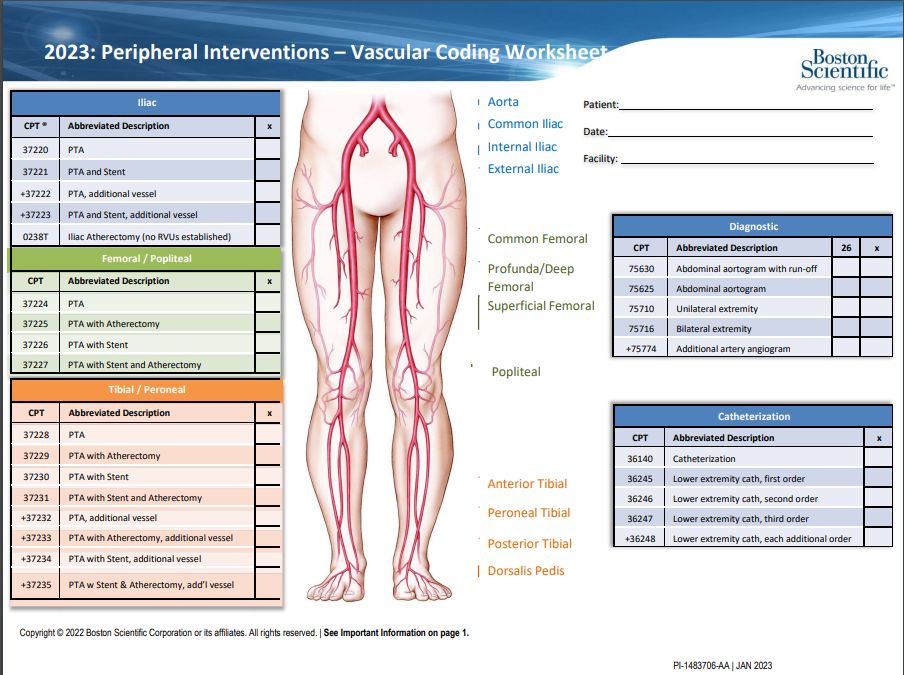 2023 - CPT coding for lower extremity angiogram and revascularization- pre authorization (Pre-auth)