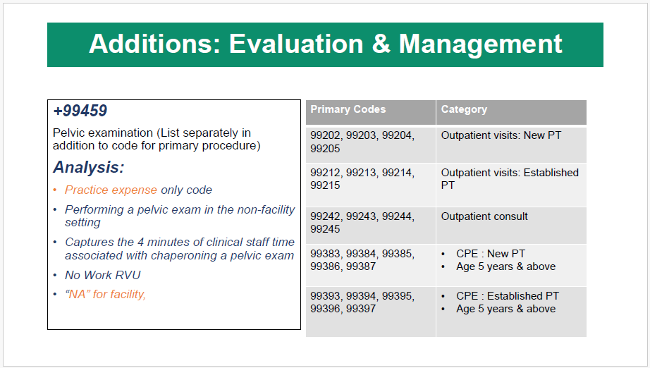 CPT Coding Updates 2024