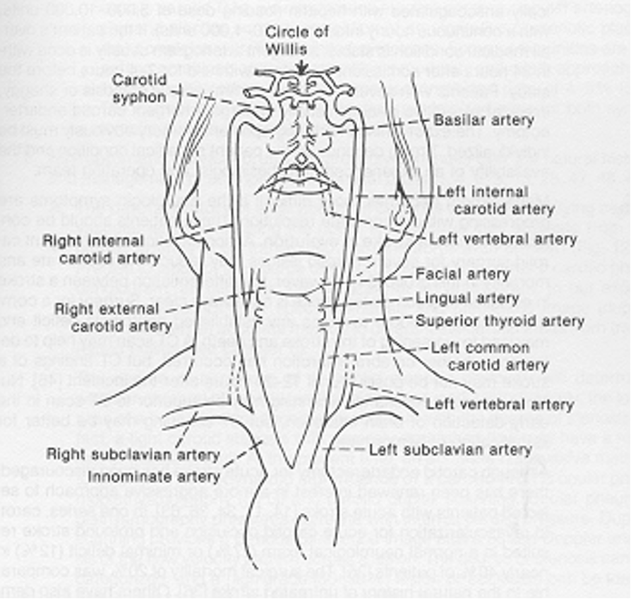 Vascular Physical examination of a patient - notes and MIMIT- EHR ...