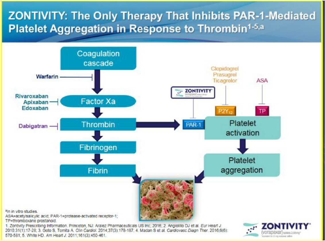 Anticoagulants and antiplatelet agents