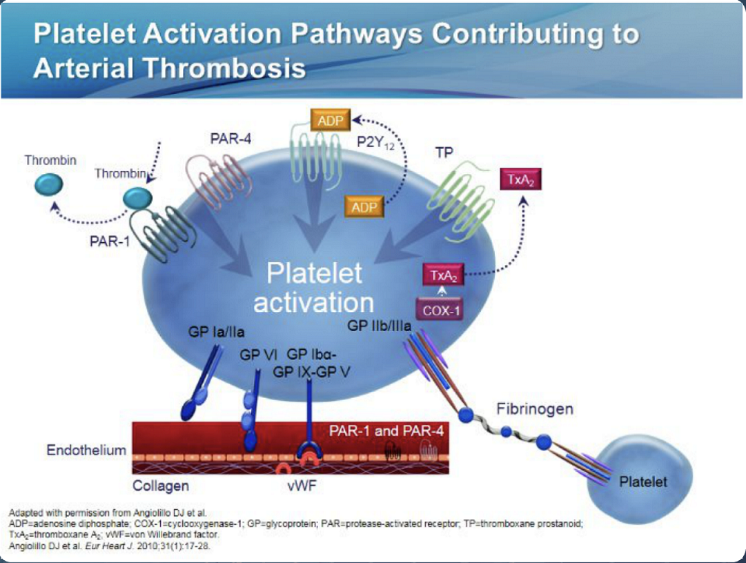 Anticoagulants and antiplatelet agents